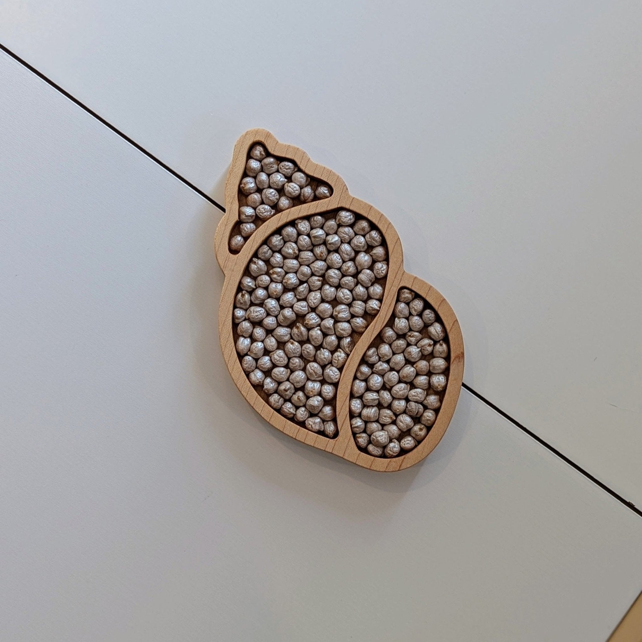 Mini Conch Shell Sensory Play Tray – Carved Together Co